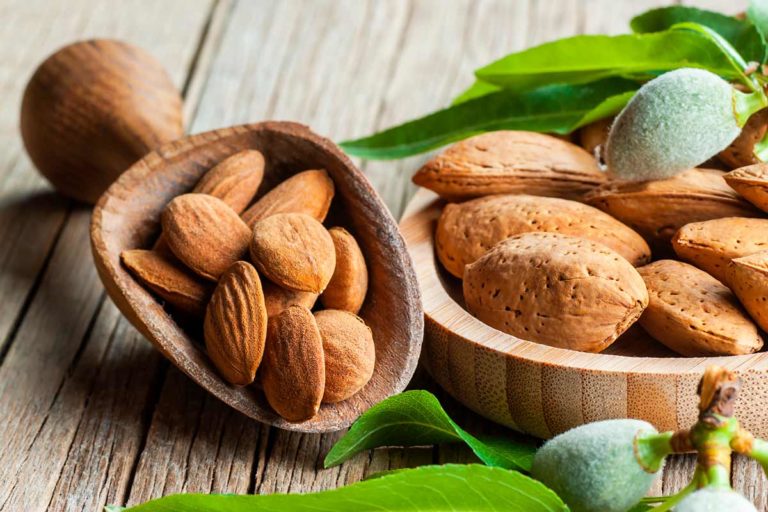 EL ALMENDRO, TODO DEL CULTIVO, VARIEDADES Y USOS DEL ÁRBOL